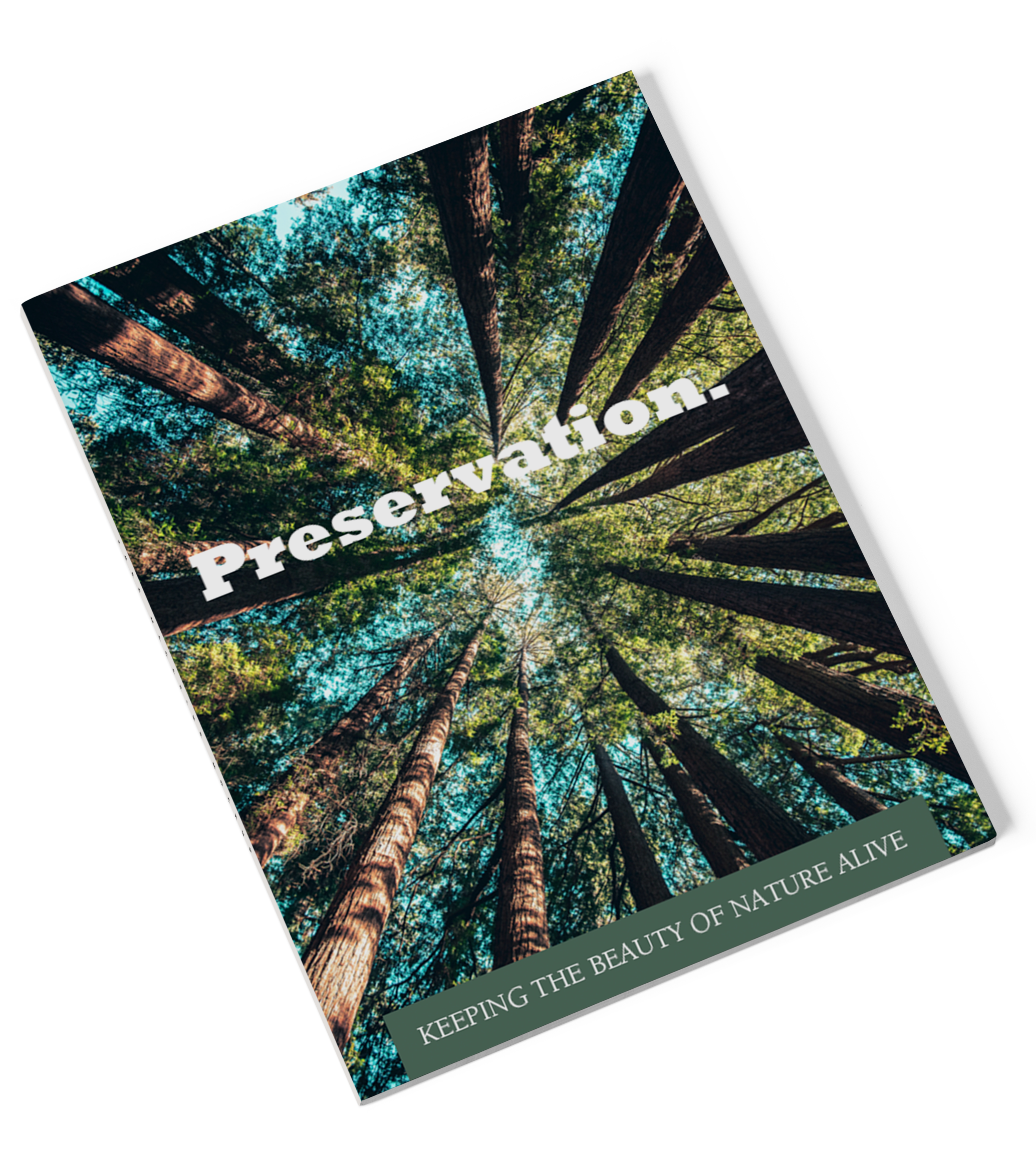 Preservation Magazine – dunhamgrapicdesigns.com